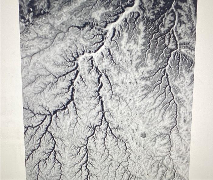 Solved dendritic trellis O radial rectangular spiral | Chegg.com