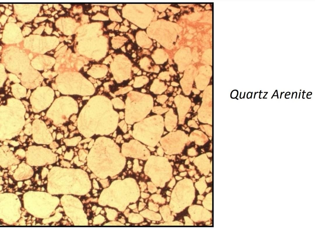 Solved Quartz Arenite Feldspathic Arenite Lithic Arenite | Chegg.com