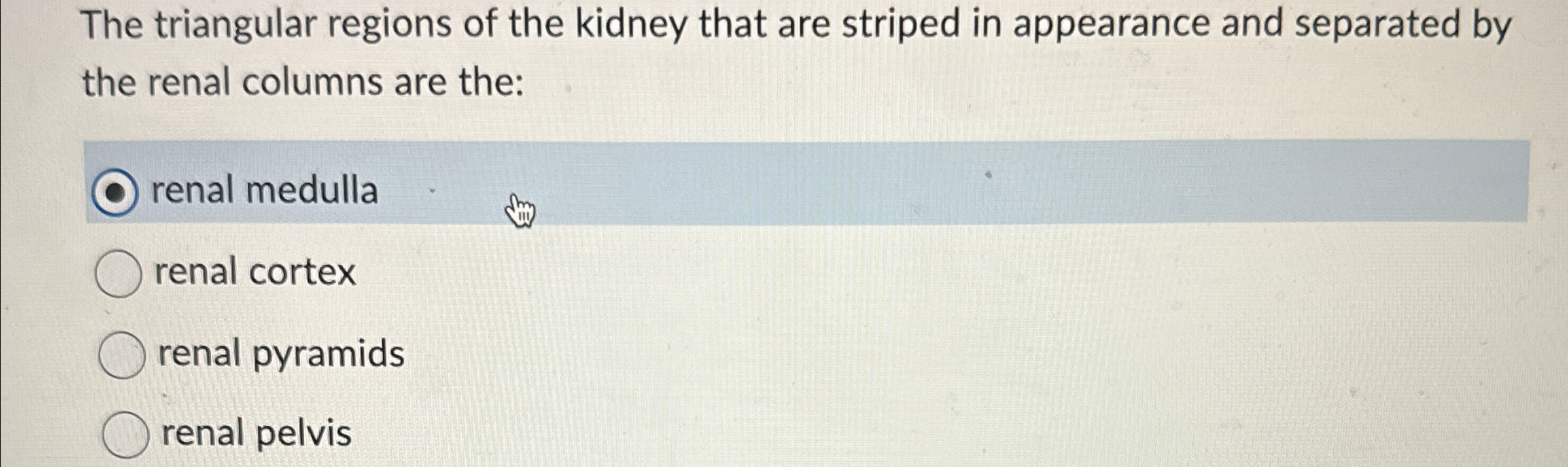 Solved The triangular regions of the kidney that are striped | Chegg.com
