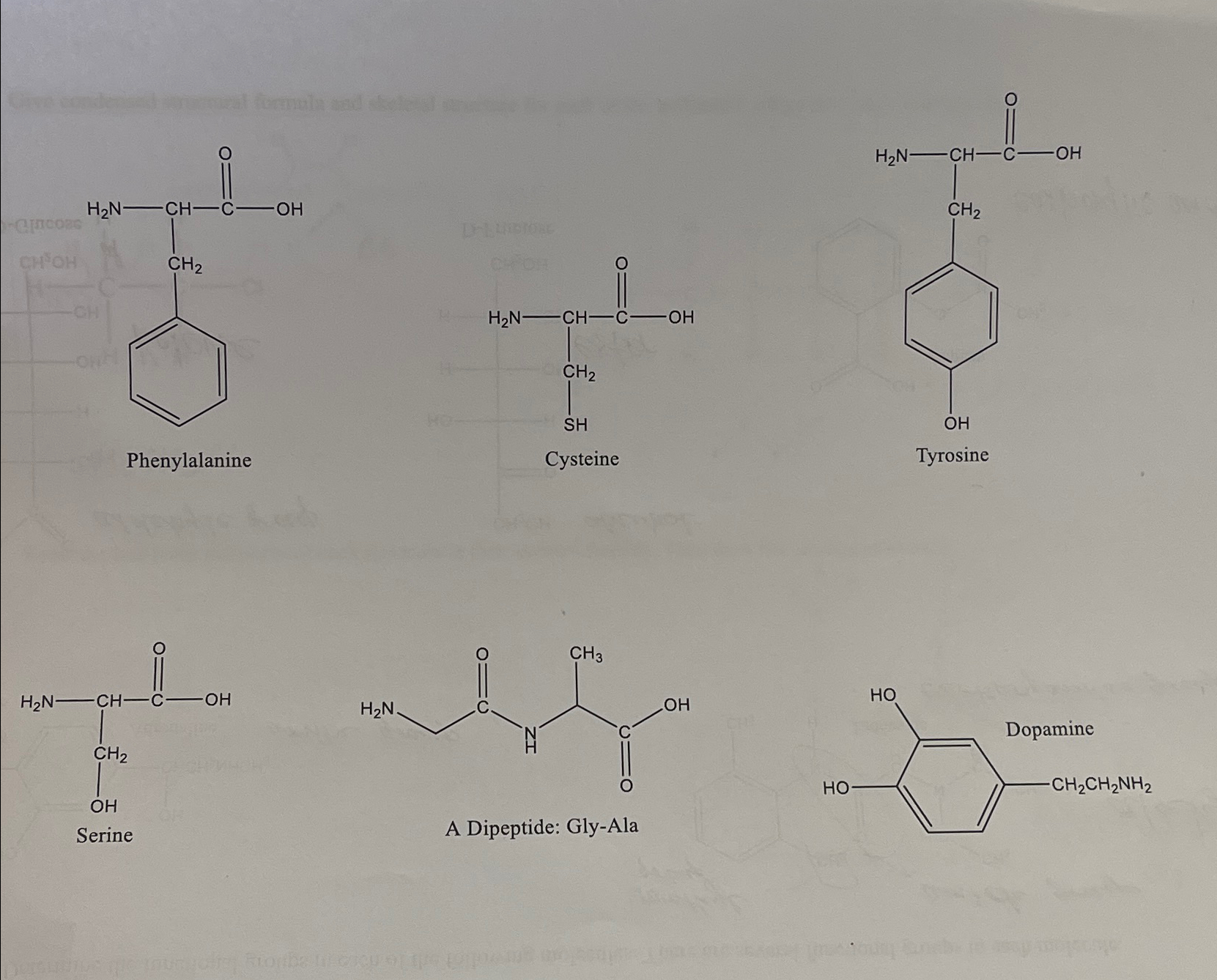Solved Determine the functional groups in each of the | Chegg.com