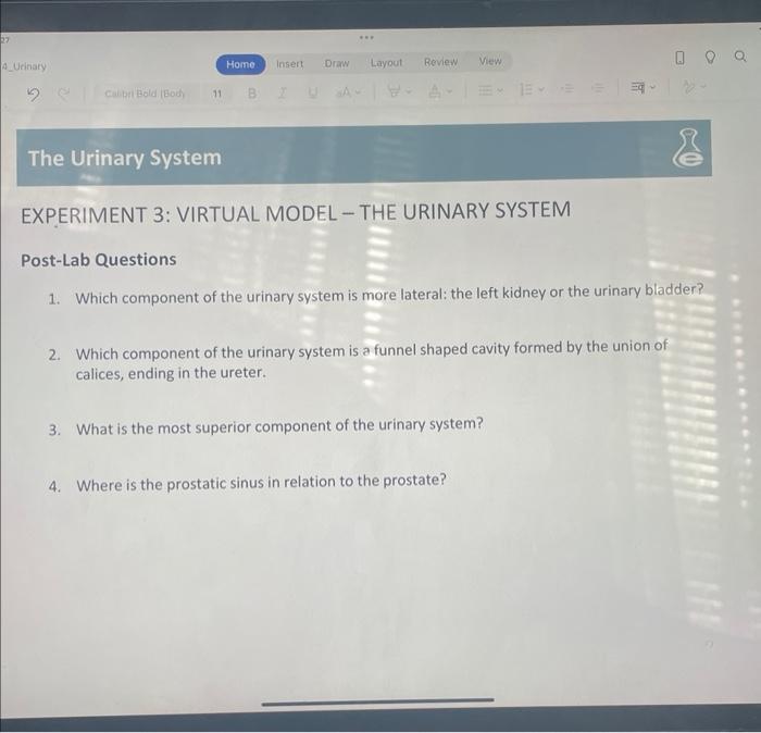 Solved The Urinary System Tahle 5. Simulated Urine Glucose | Chegg.com
