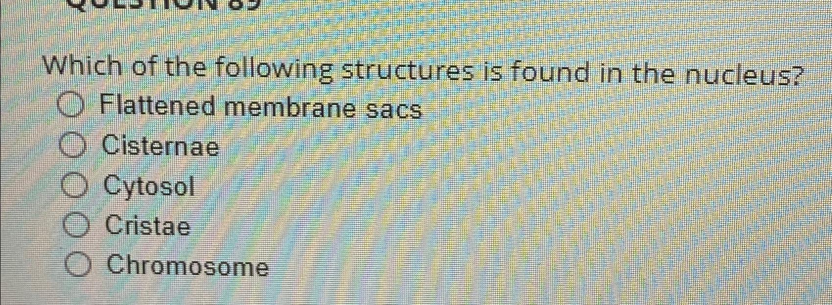 Solved Which of the following structures is found in the | Chegg.com