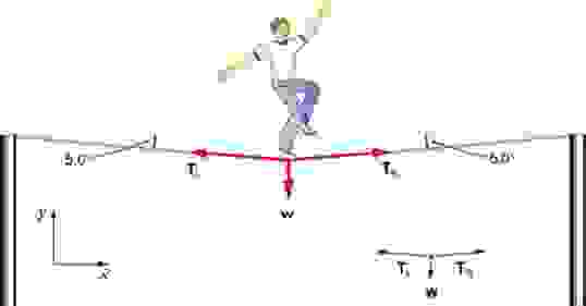 Solved Calculate the tension (in N) ﻿in a vertical strand of | Chegg.com