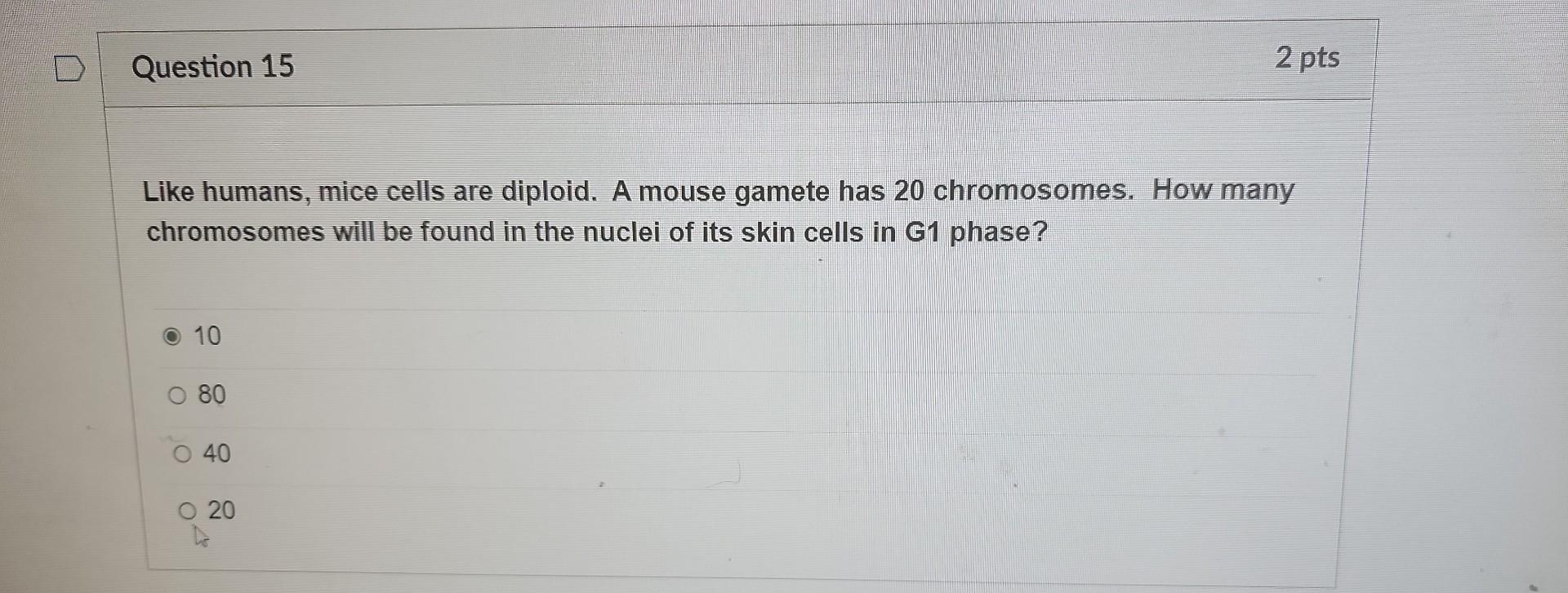 Solved Like humans, mice cells are diploid. A mouse gamete | Chegg.com