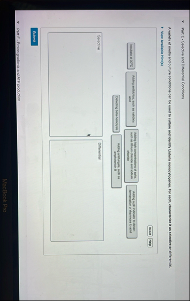 Solved Part E - ﻿Selective and Differential ConditionsA | Chegg.com