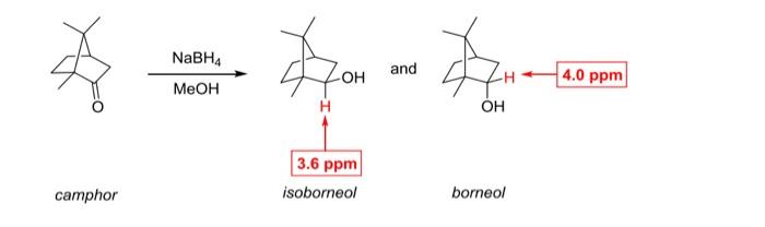 Solved E. Calculate the relative amounts of isoborneol and | Chegg.com