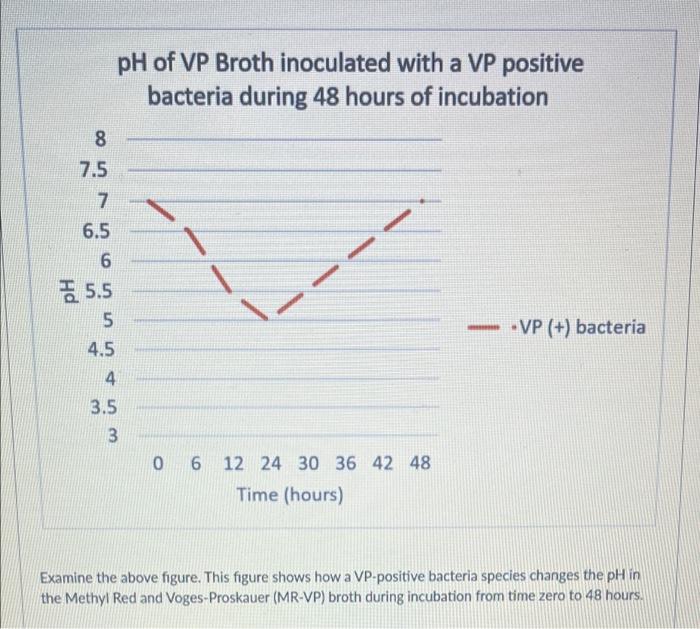 pH of VP Broth inoculated with a VP positive bacteria | Chegg.com