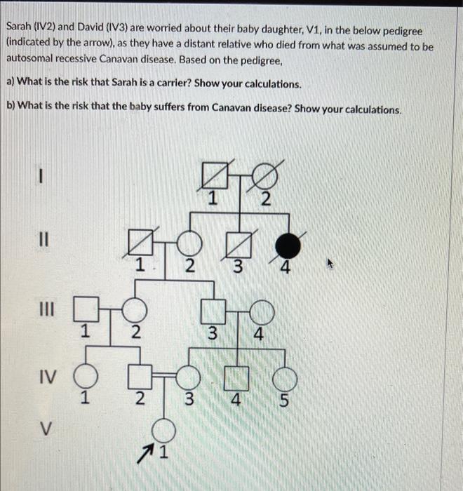 Solved Sarah (IV2) and David (IV3) are worried about their | Chegg.com