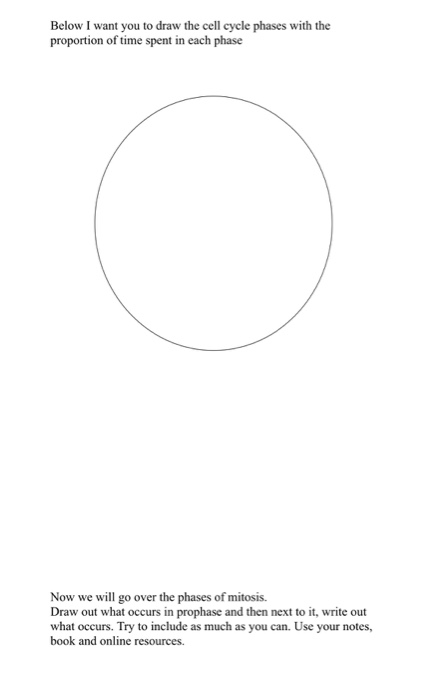 Solved Below I want you to draw the cell cycle phases with | Chegg.com