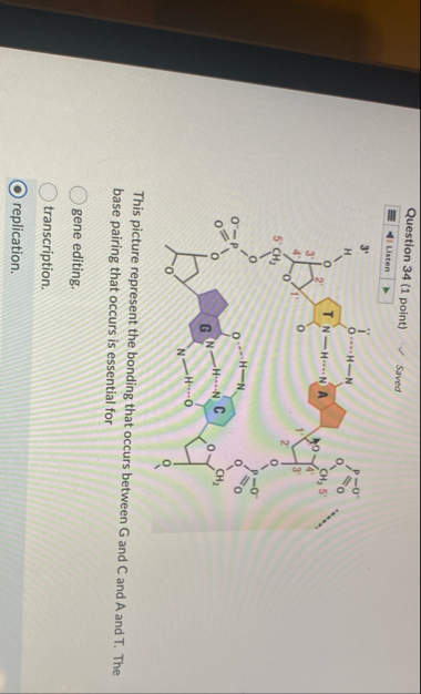 Solved Question 34 (1 ﻿point)UstenSavedThis picture | Chegg.com