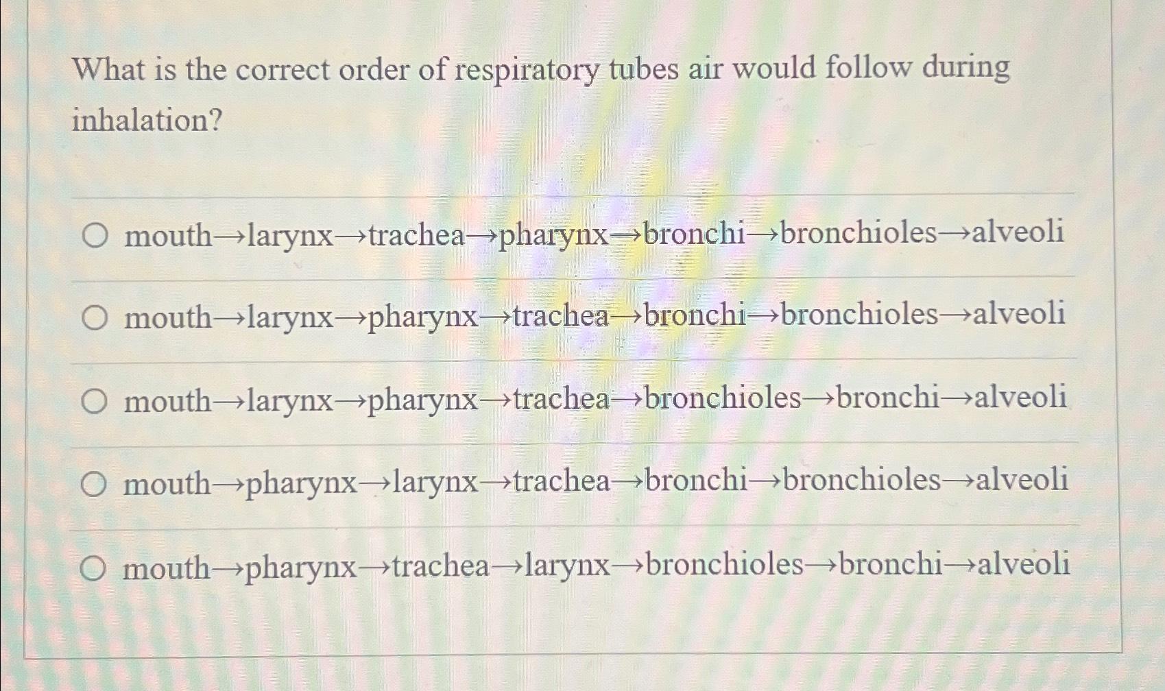 Solved What is the correct order of respiratory tubes air | Chegg.com