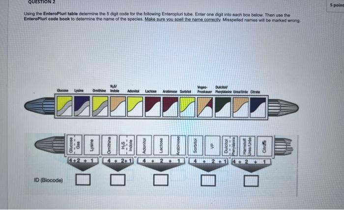 Solved QUESTION 2 Using the EnteroPluri table determine the | Chegg.com