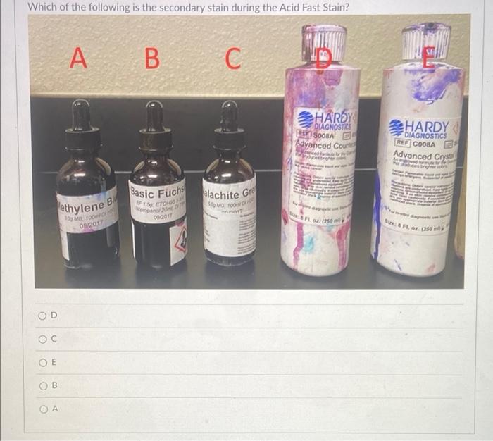 Solved Which of the following is the secondary stain during | Chegg.com