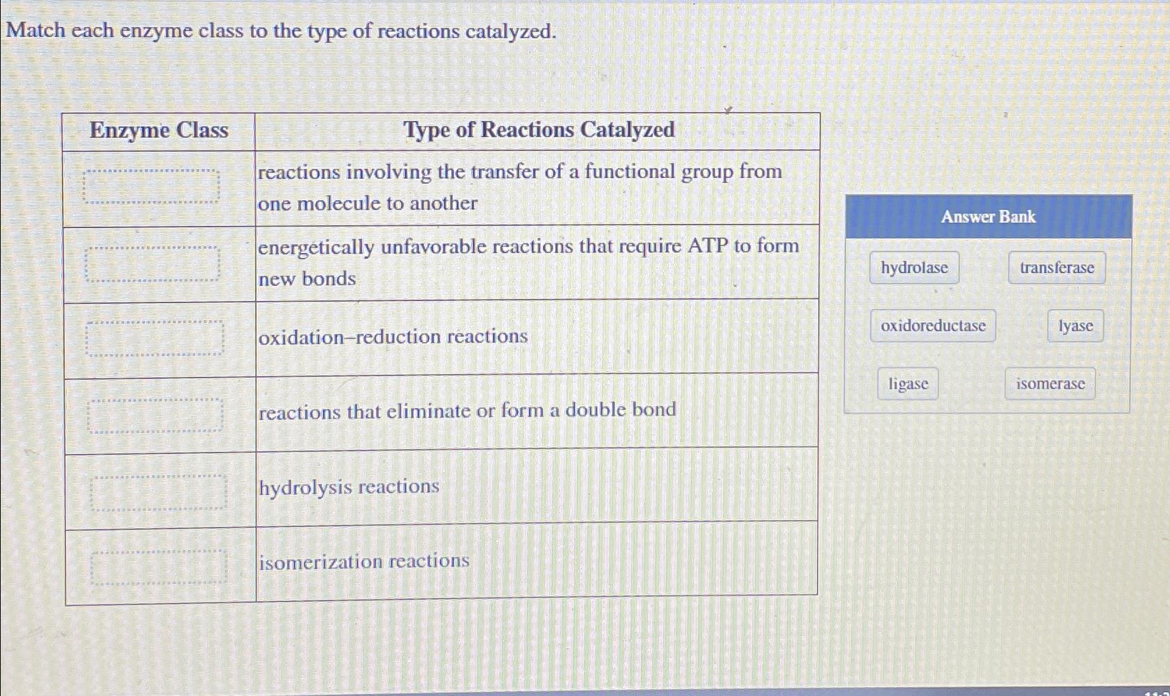 Solved Match each enzyme class to the type of reactions | Chegg.com
