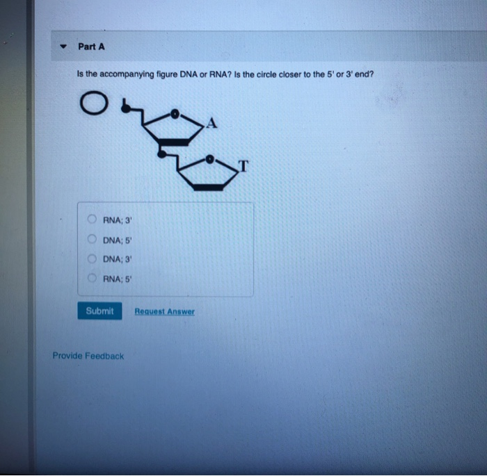 Part A - Components of nucleotides Sort these | Chegg.com