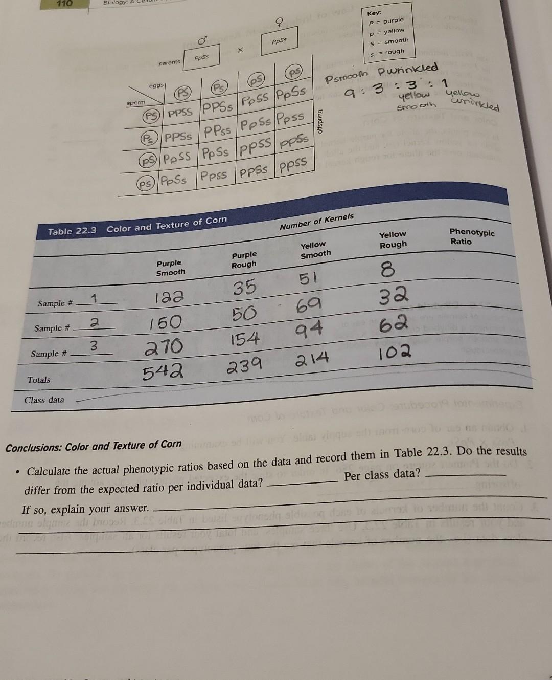 Solved Conclusions: Color and Texture of Corn - Calculate | Chegg.com