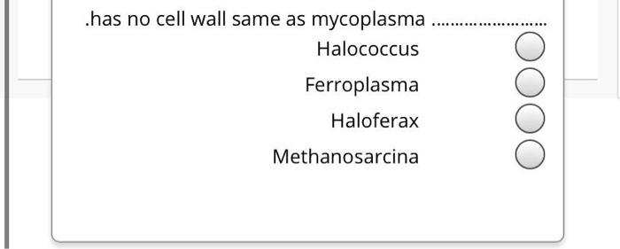 Solved .has no cell wall same as mycoplasma Halococcus | Chegg.com
