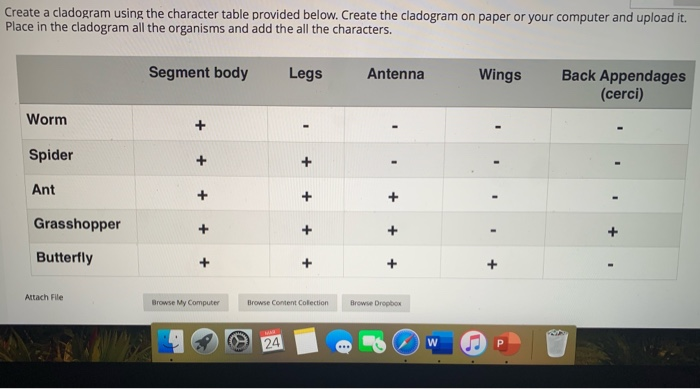 Solved Create a cladogram using the character table provided | Chegg.com