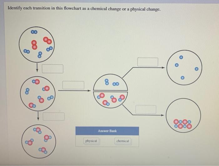 Solved Identify each transition in this flowchart as a | Chegg.com