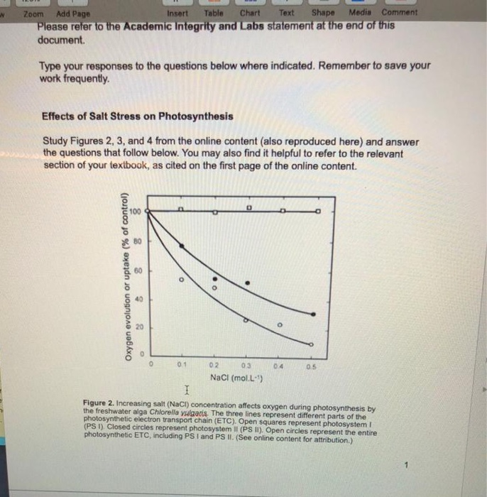 Zoom Add Page Insert Table Chart Text Shape Media | Chegg.com