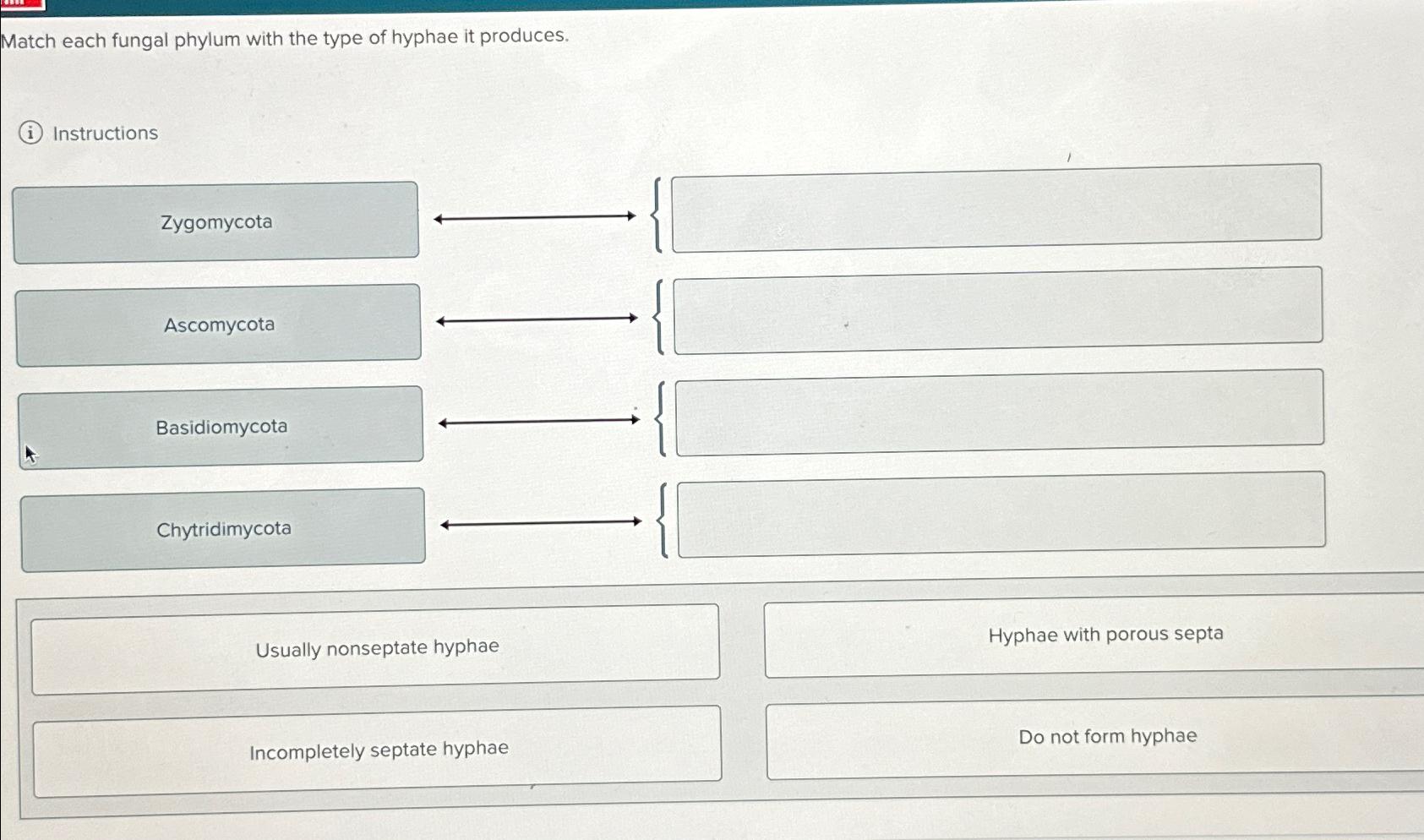 Solved Match each fungal phylum with the type of hyphae it | Chegg.com