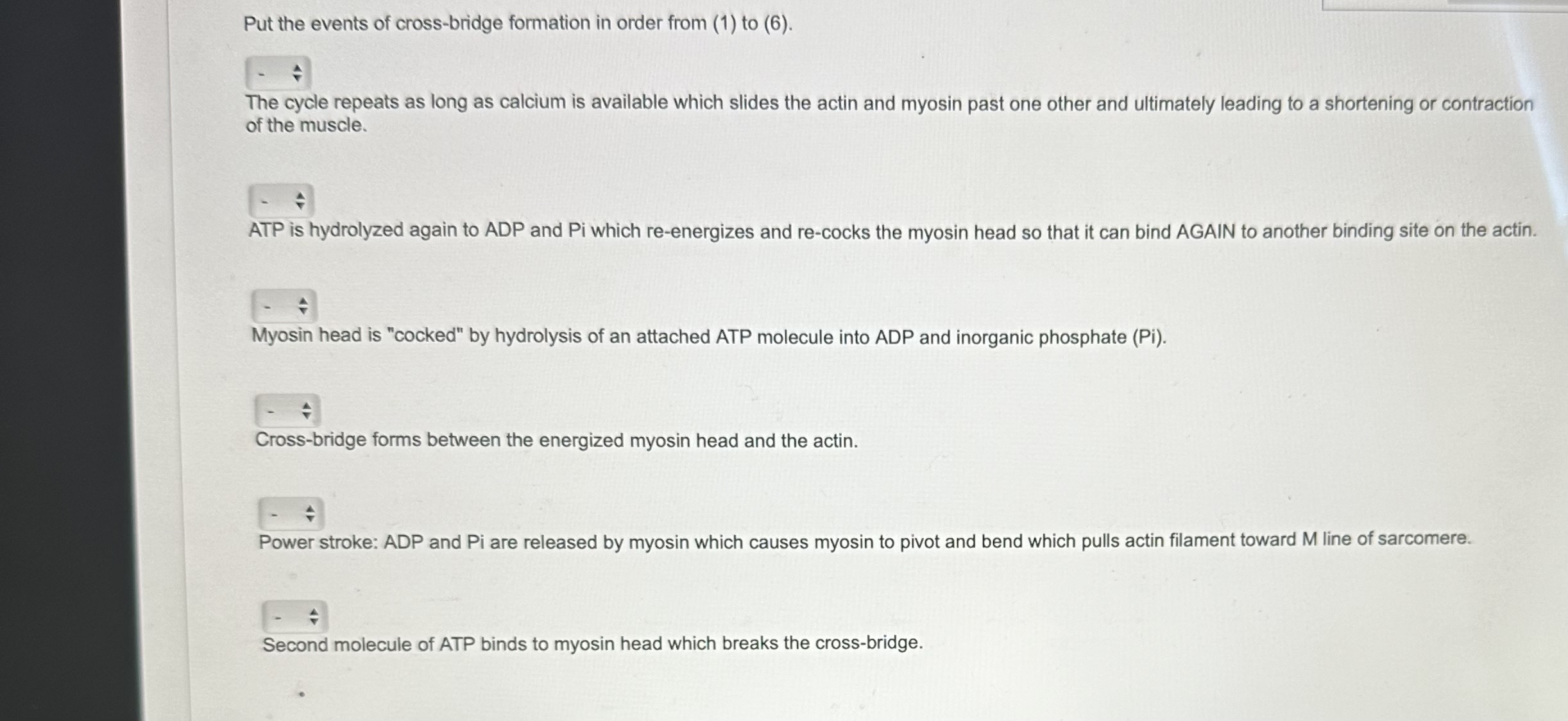 Solved Put the events of cross-bridge formation in order | Chegg.com