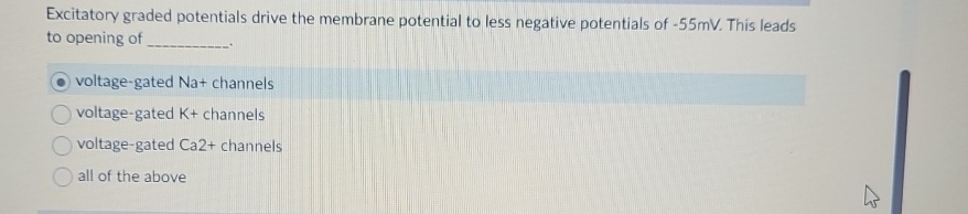 Solved Excitatory graded potentials drive the membrane | Chegg.com