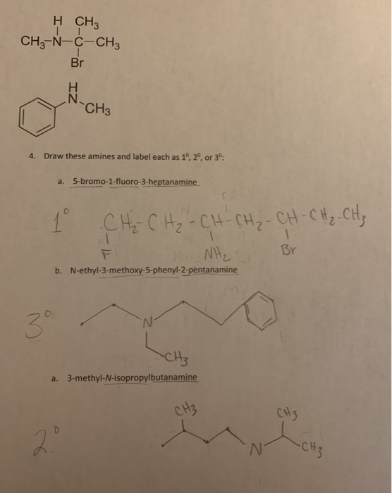 Solved H CH3 CH3-N-C-CH3 N-CH3 4. Draw these amines and | Chegg.com
