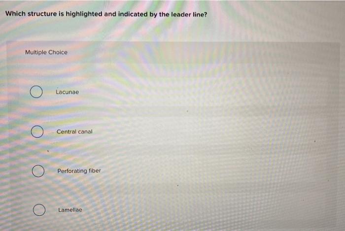 Solved 獎 Which structure is highlighted and indicated by | Chegg.com
