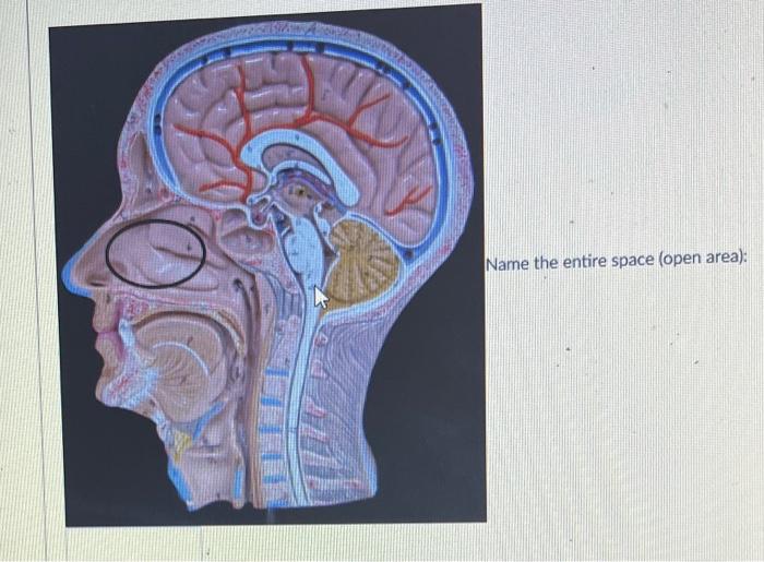 Solved Name the entire space (open area): | Chegg.com