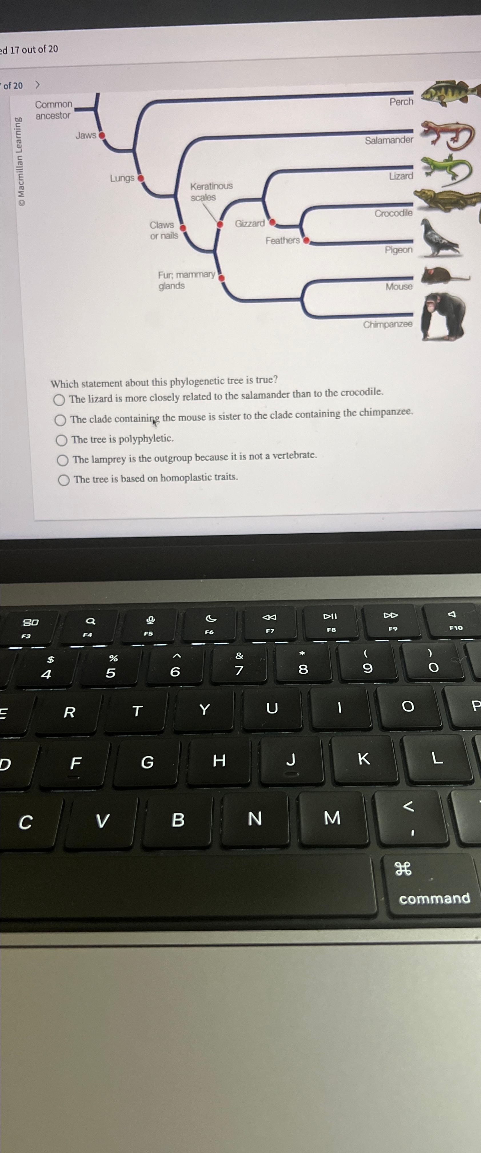 Solved 17 ﻿out of 20of 20Which statement about this | Chegg.com