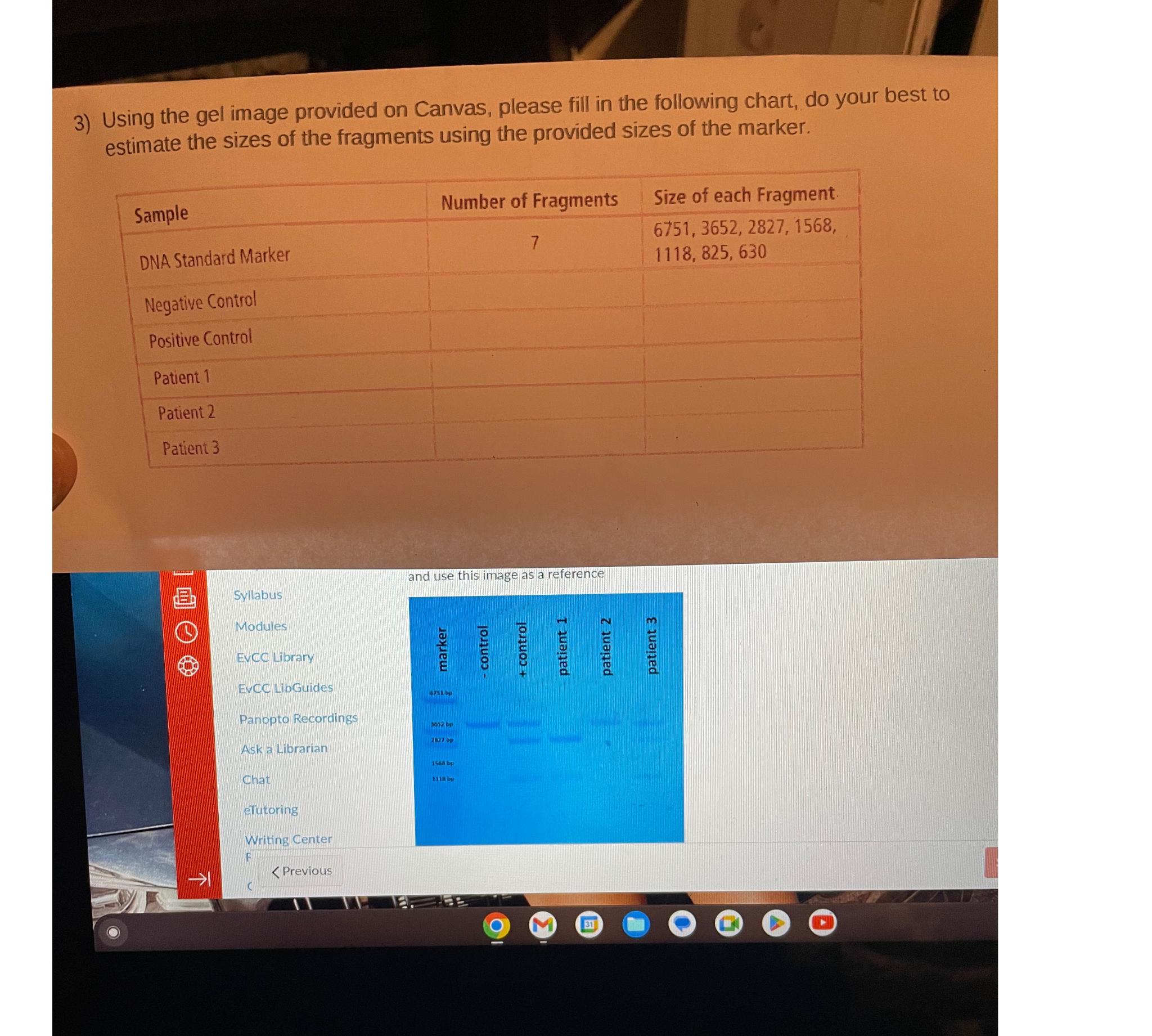 Solved Help me filling out this table bellow the image | Chegg.com