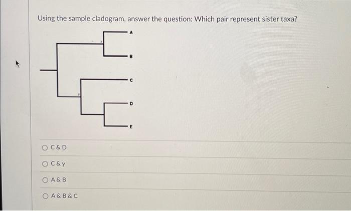 Solved Using the sample cladogram, answer the question: | Chegg.com