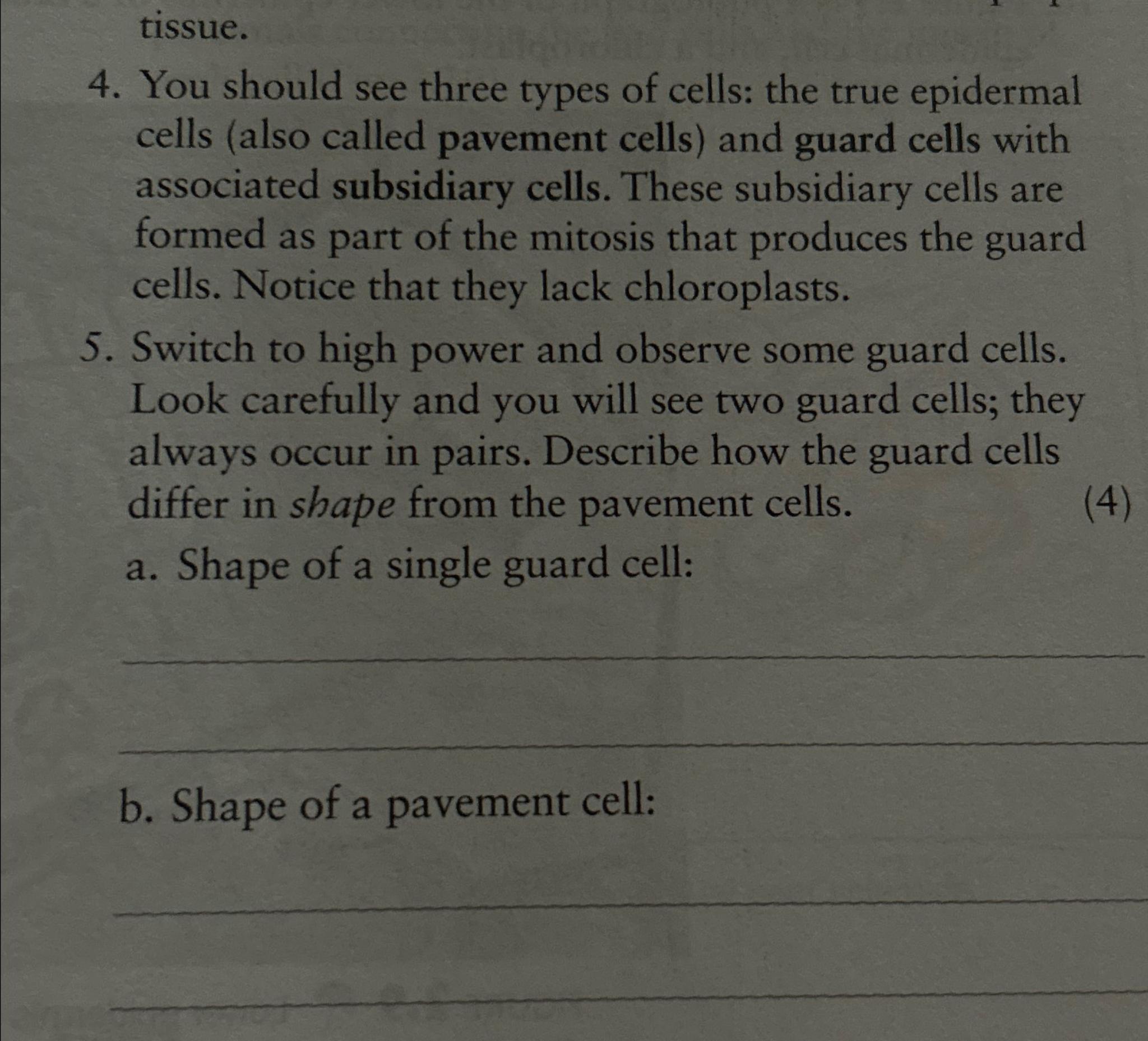 Solved 4. ﻿You should see three types of cells: the true | Chegg.com