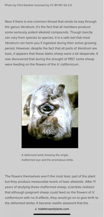 Solved 1. What important Toolkit gene is inhibited to | Chegg.com