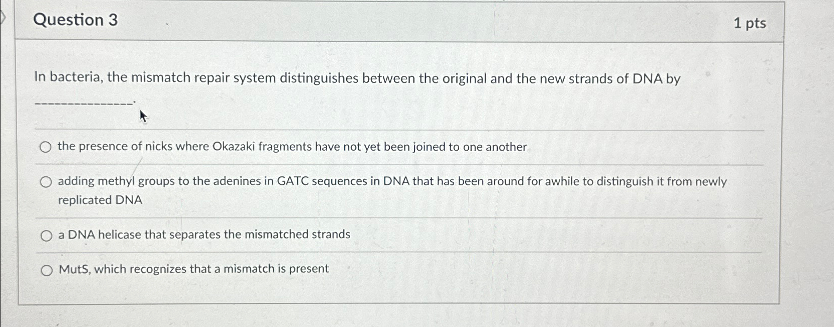 Solved Question 31 ﻿ptsIn bacteria, the mismatch repair | Chegg.com