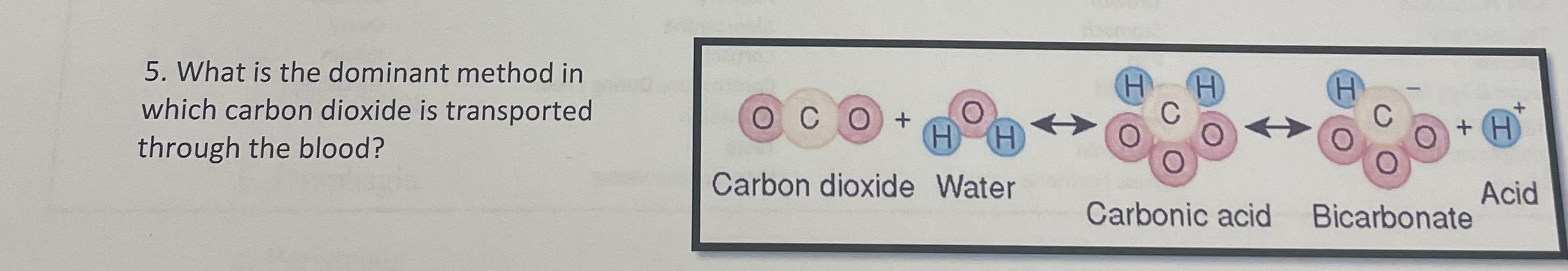 Solved What is the dominant method in which carbon dioxide | Chegg.com