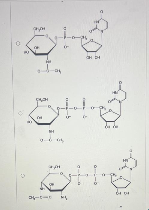 Solved Choose the structure of UDP- | Chegg.com