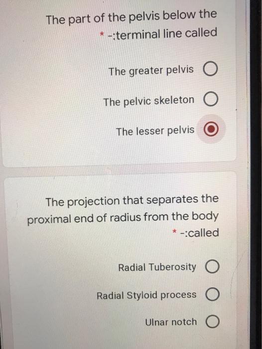 Solved The part of the pelvis below the * -terminal line | Chegg.com