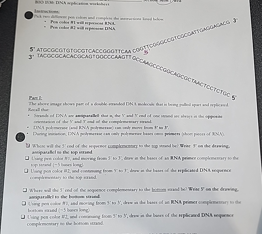 Solved BIO 1530: DNA replication workshectInstructions:Pick | Chegg.com