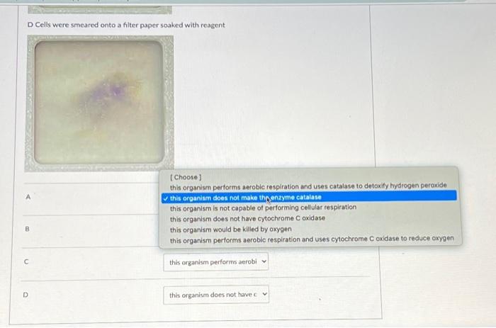 Solved For each result, choose the most accurate | Chegg.com