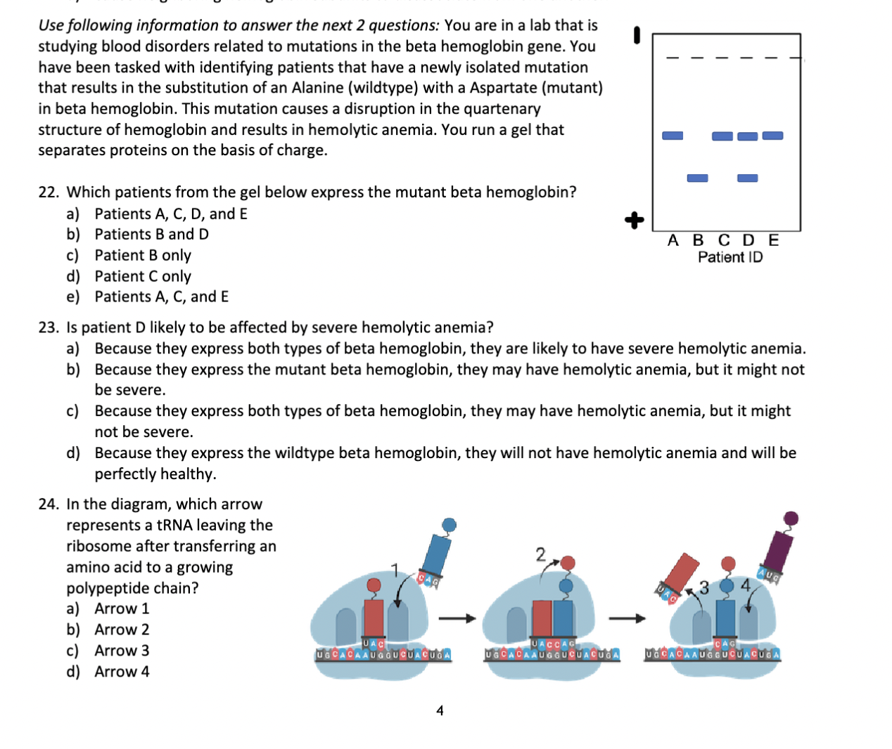 Use following information to answer the next 2 | Chegg.com