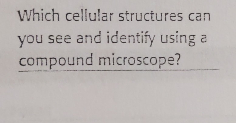 Solved Which cellular structures can you see and identify | Chegg.com