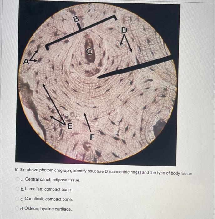 Solved parts to the same question. please answer quickly i | Chegg.com