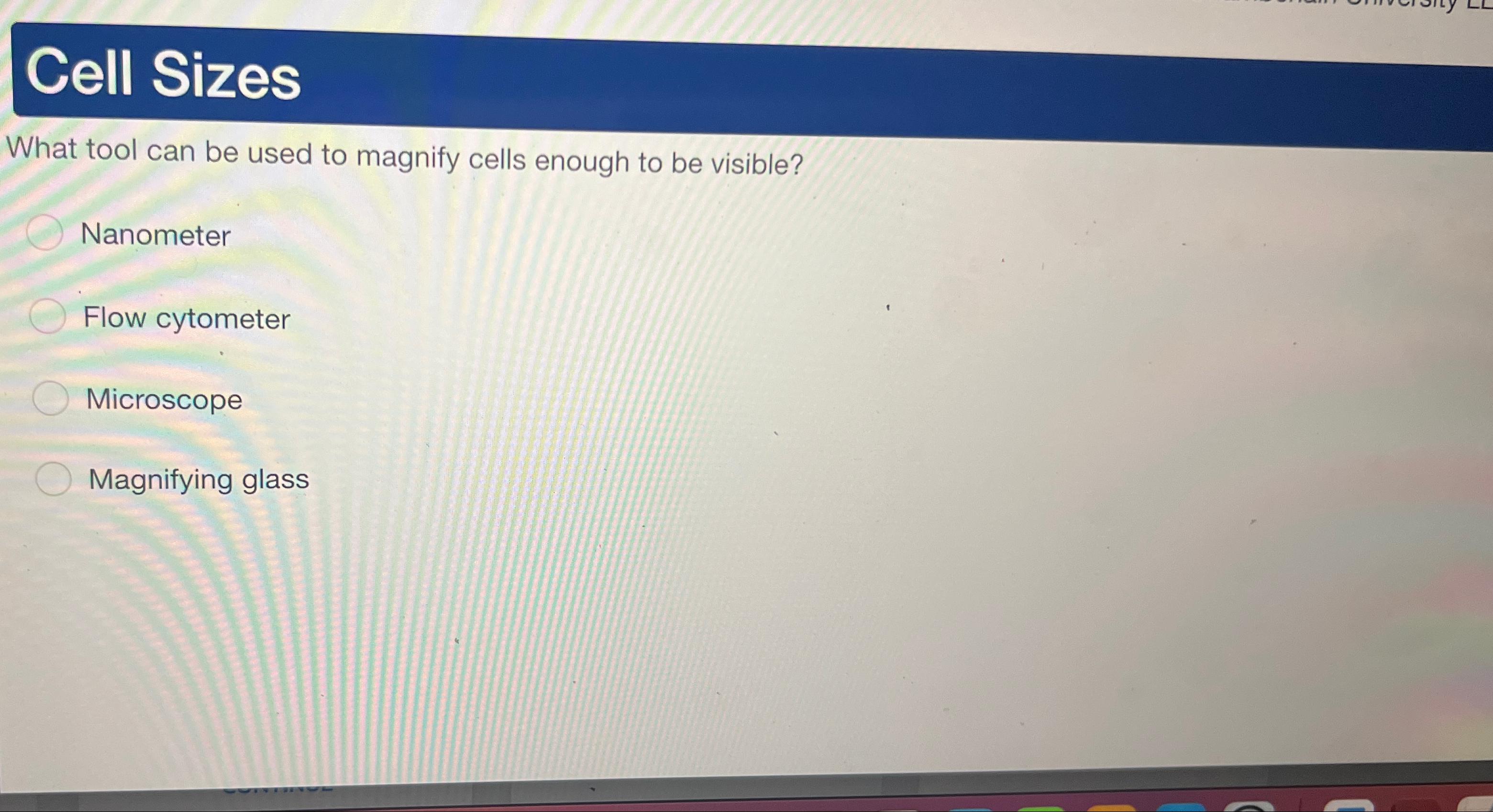 Solved Cell SizesWhat tool can be used to magnify cells | Chegg.com