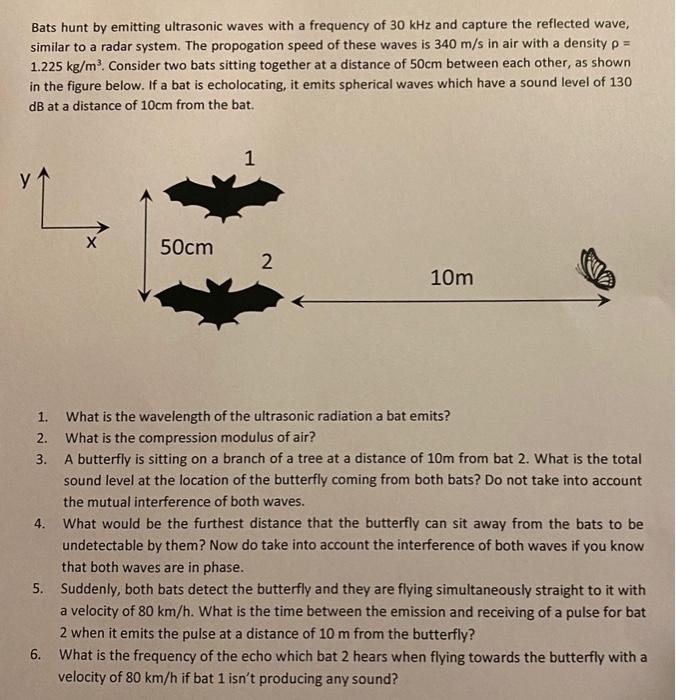 Solved Bats hunt by emitting ultrasonic waves with a | Chegg.com