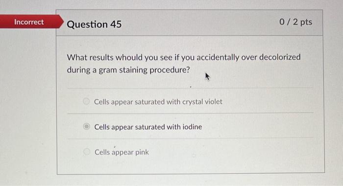Solved Gram positive cells have what in comparison to gram | Chegg.com