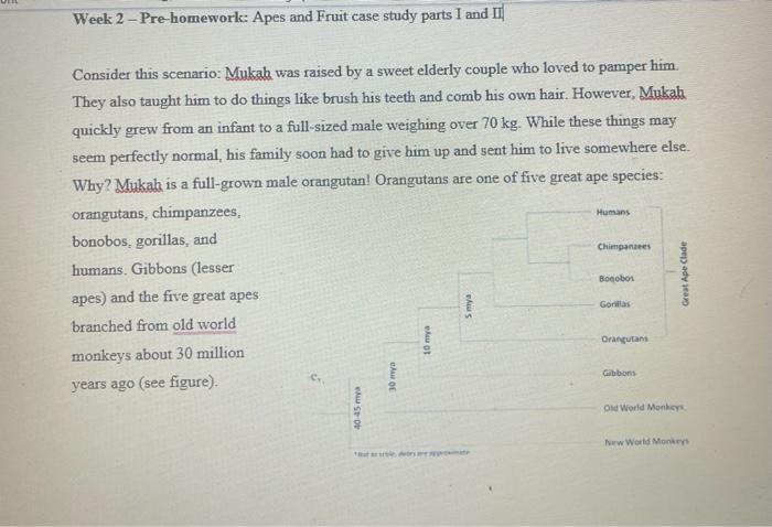 Solved Week 2 - Pre-homework: Apes and Fruit case study | Chegg.com