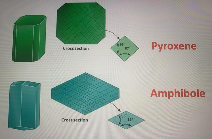 Solved Figure 1 (bottom) shows two sets of cleavages in | Chegg.com