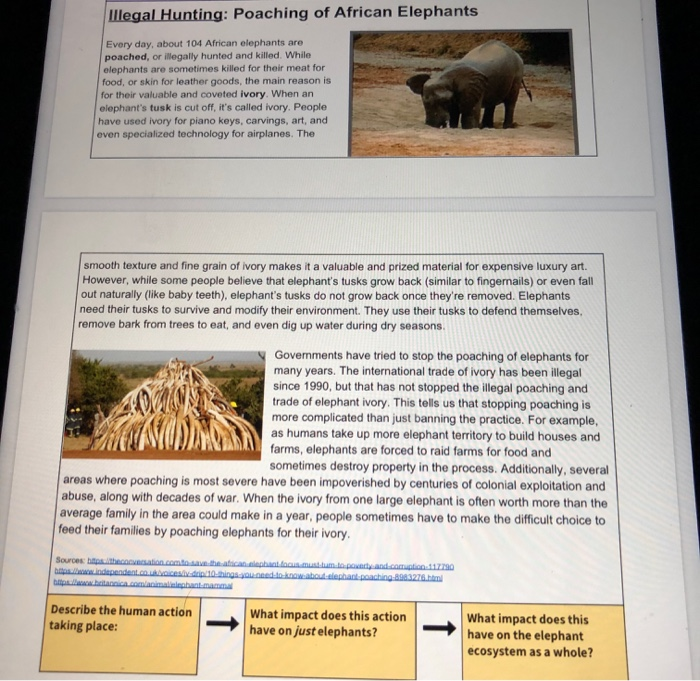 Solved Overharvesting: Logging of Pine Trees Logging is the | Chegg.com